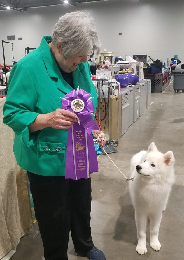 The Pack – SnoDen Samoyeds